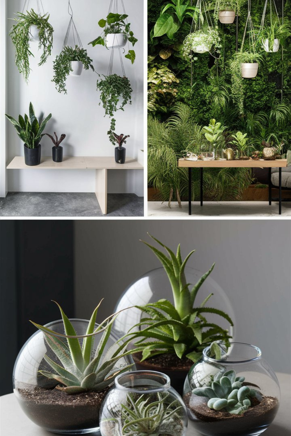 20 Plant Aesthetic Ideas to Beautify Your Space - Harvesthex